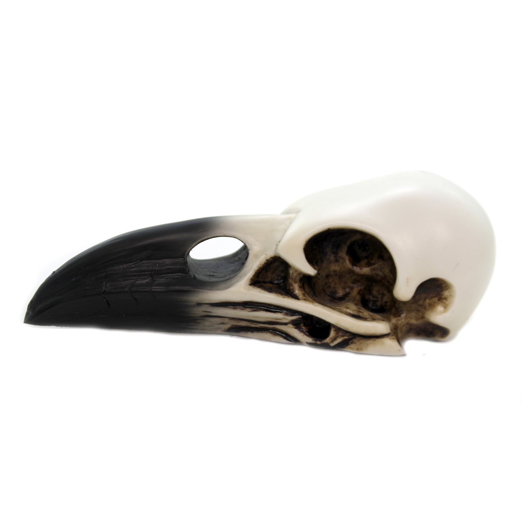 Halloween Raven Skull Polyresin Bones Bird 8584 | SBKGifts.com